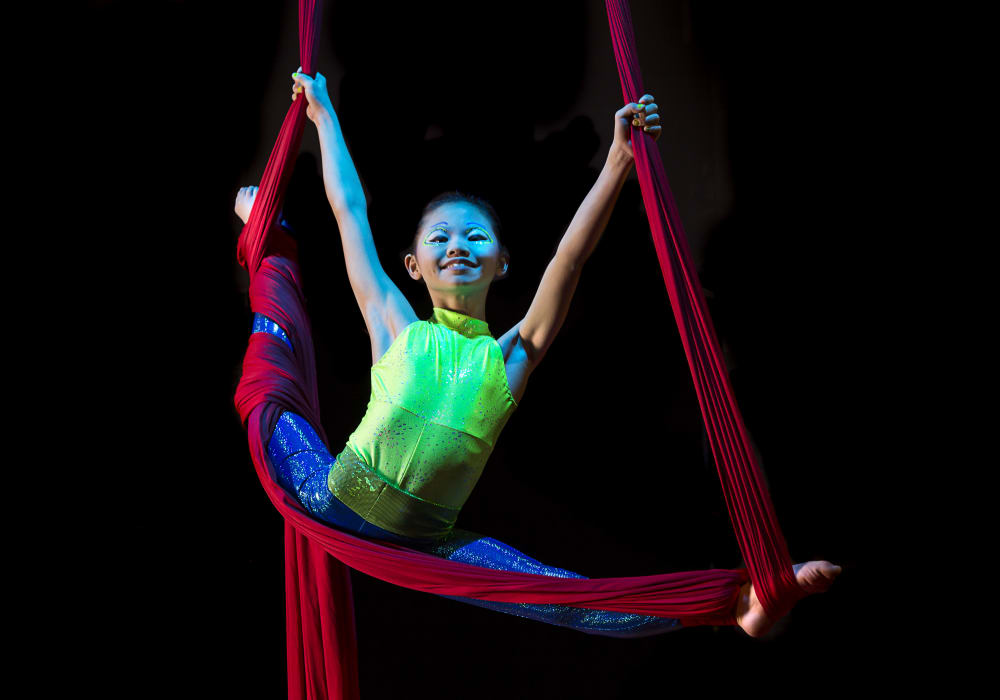 Welcome to Zacada Circus